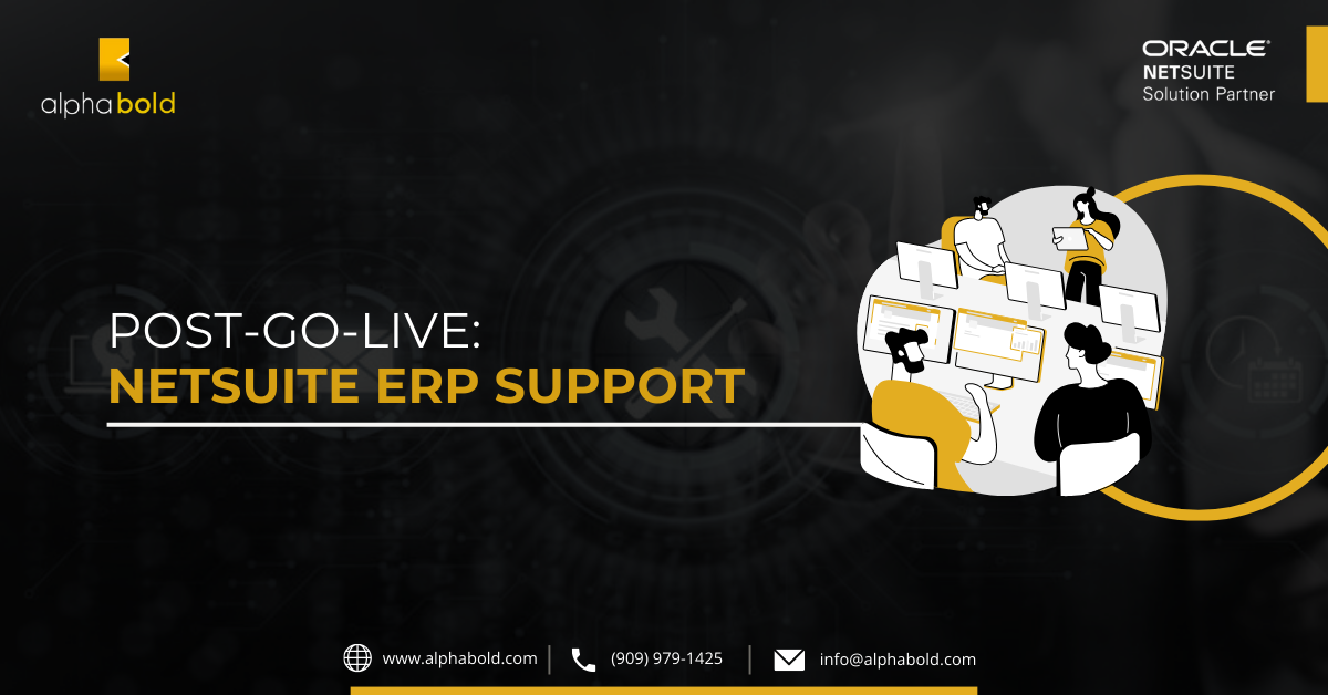 Post-Go-Live: NetSuite ERP Support