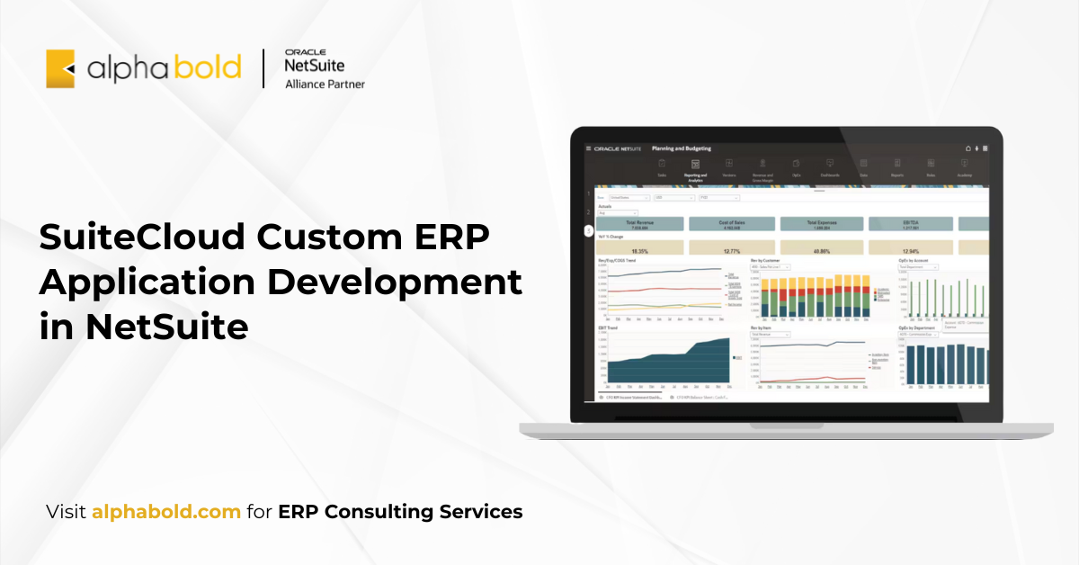 SuiteCloud Custom ERP Application Development in NetSuite