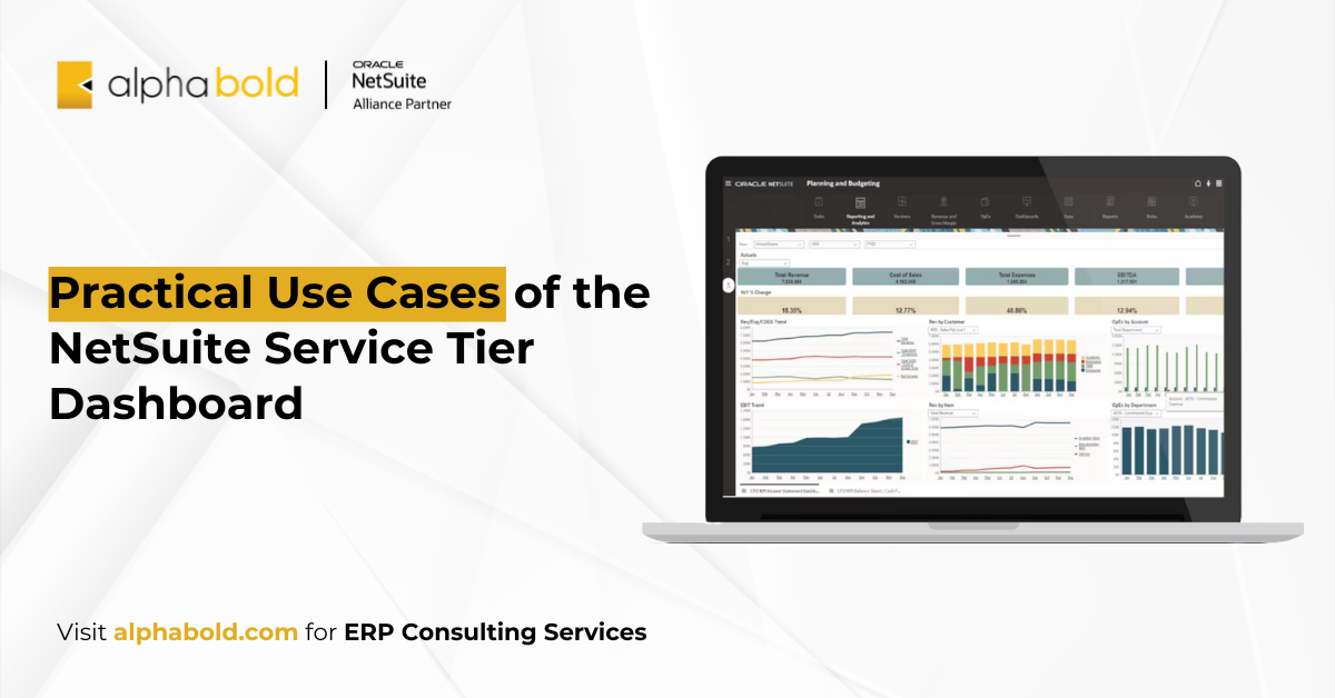 Practical Use Cases of the NetSuite Service Tier Dashboard